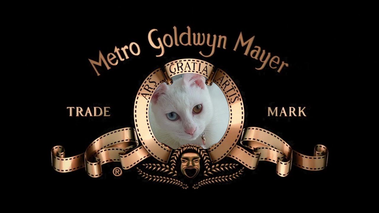 MGM LION PARODY 포효하는 아기 사자 [영역 정복&영역 확장] - YouTube