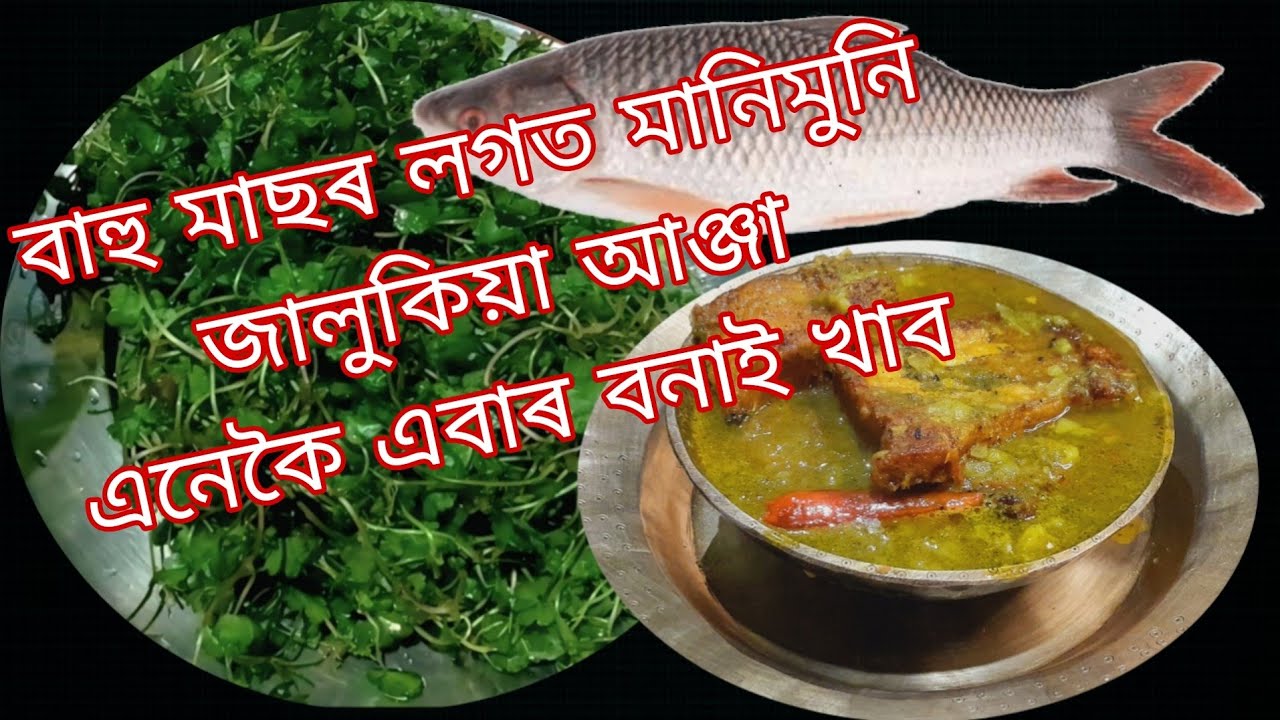 Manimuni jalukia anja||মানিমুনি জালুকিআ আঞ্জা||বাহু মাছৰ লগত মানিমুনি ...