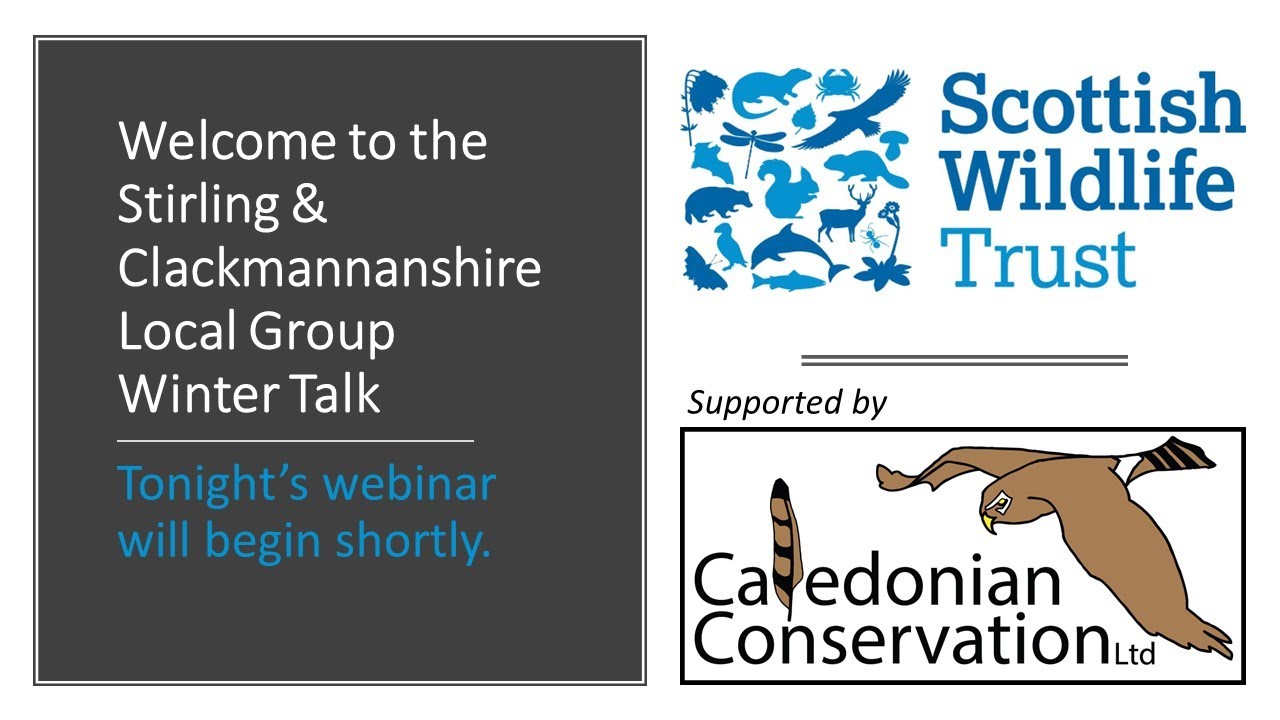 Restoring montane woodland and scrub on Ben Lawers National Nature ...