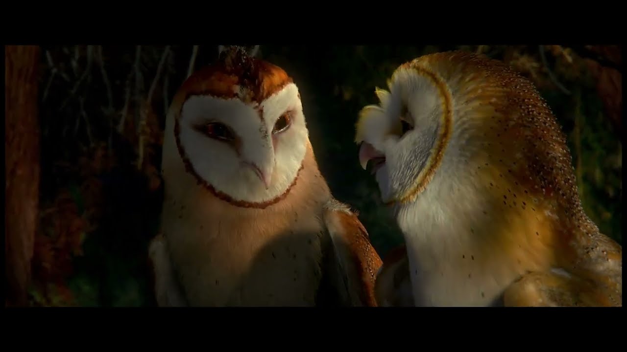 Legend of the Guardians: The Owls of Ga'Hoole - First Branching ...
