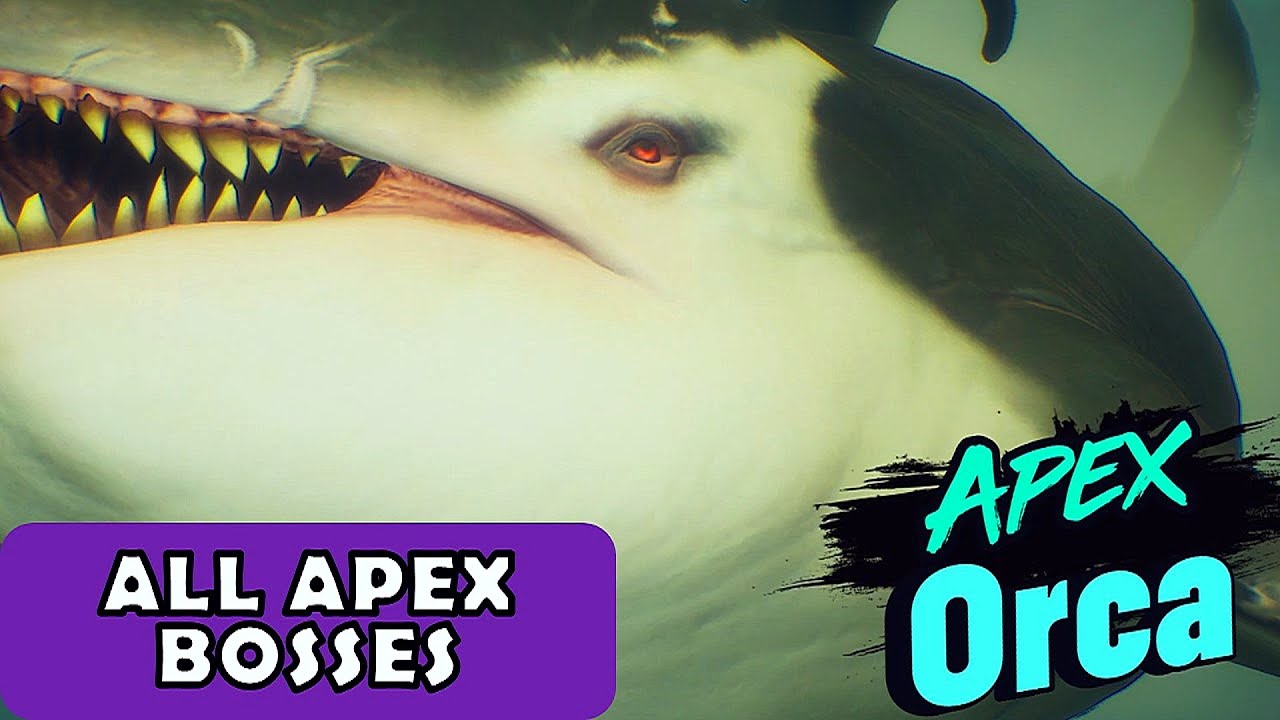 MANEATER [All Apex Bosses] PS4 PRO - YouTube