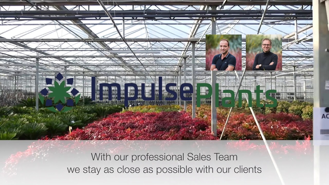 Impulse Plants B.V. - YouTube