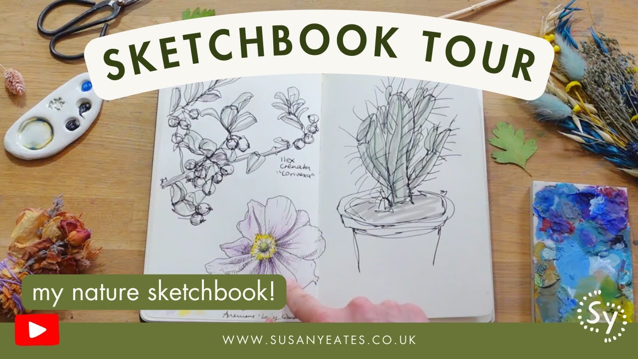 My Nature Sketchbook Flip-Through 🍃 (+ 5 Surprising Things I Learned ...