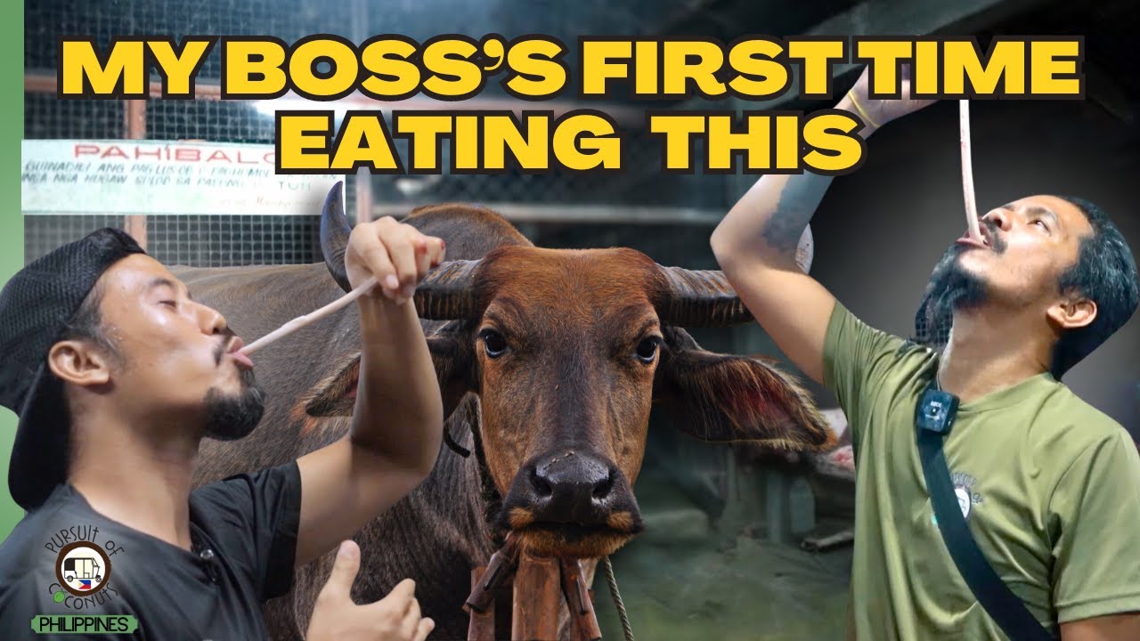 Bringing My Foreigner Boss to a Carabao Slaughter House - YouTube
