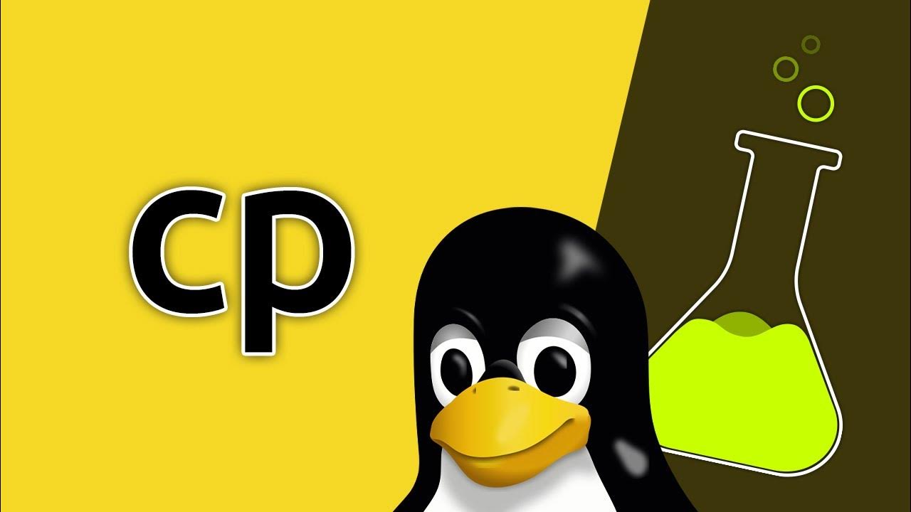 Kurs Linux Kopiowanie Plik w W Linuxie Linux Course Copying Files In kurs-linux-kopiowanie-plik-w-w-linuxie-linux-course-copying-files-in