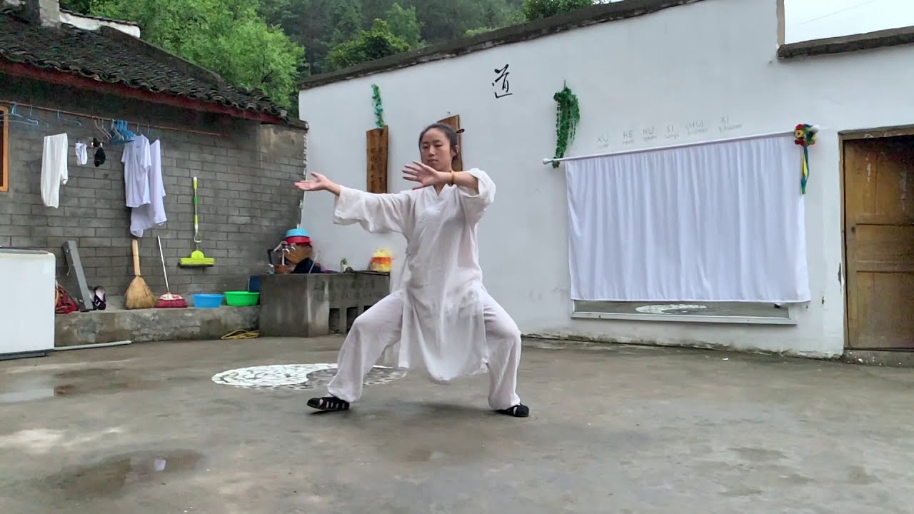 武當太極拳28式Wudang Zhang Sanfeng Taiji 28 @Wudang Taoist Wellness Academy ...
