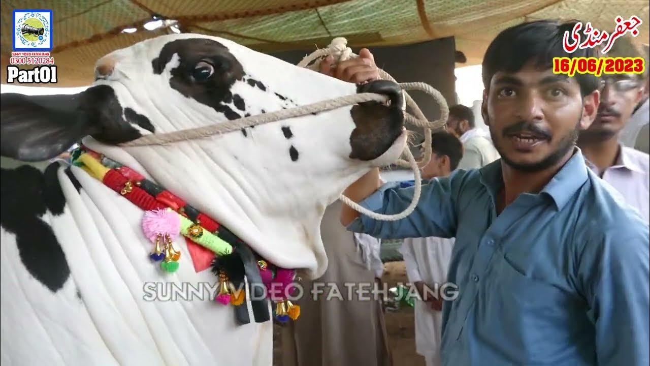 Jaffar mandi Latets update 2023 ll Part 01 - YouTube