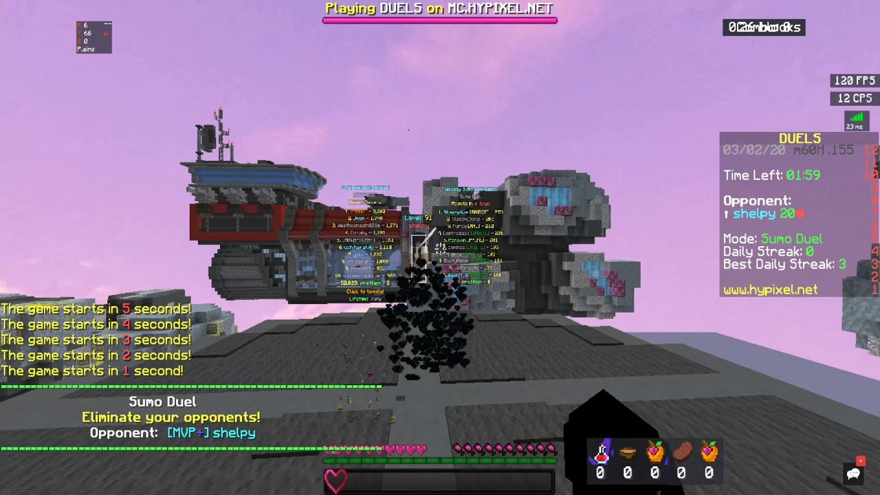 SUMO HYPIXEL DUELS - YouTube