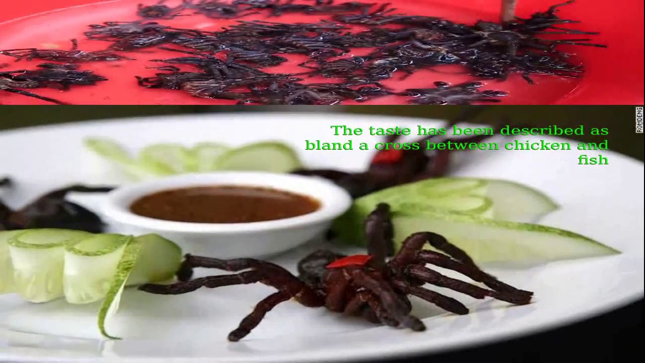 Crispy tarantulas, Cambodia - YouTube