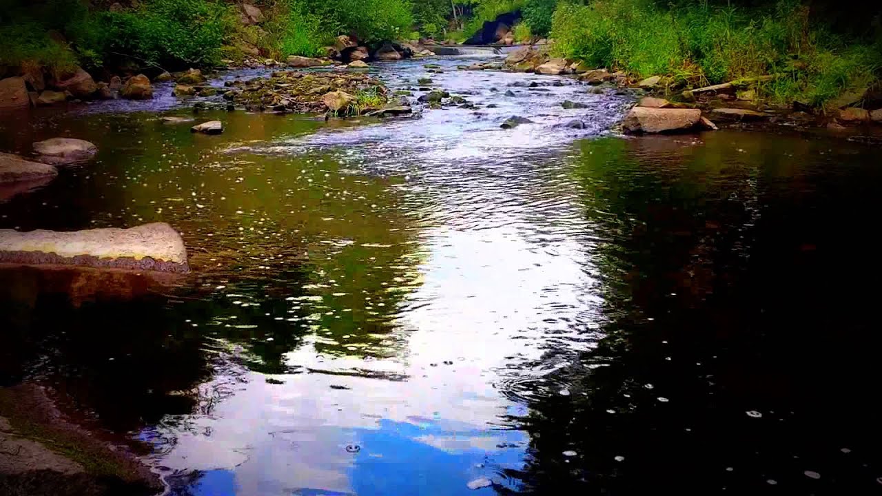 2 Hour Gentle Stream - Relaxing Quiet River - YouTube