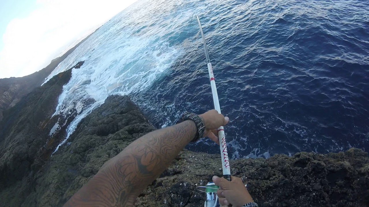 Pesca dela chopa perezosa Yauce - YouTube
