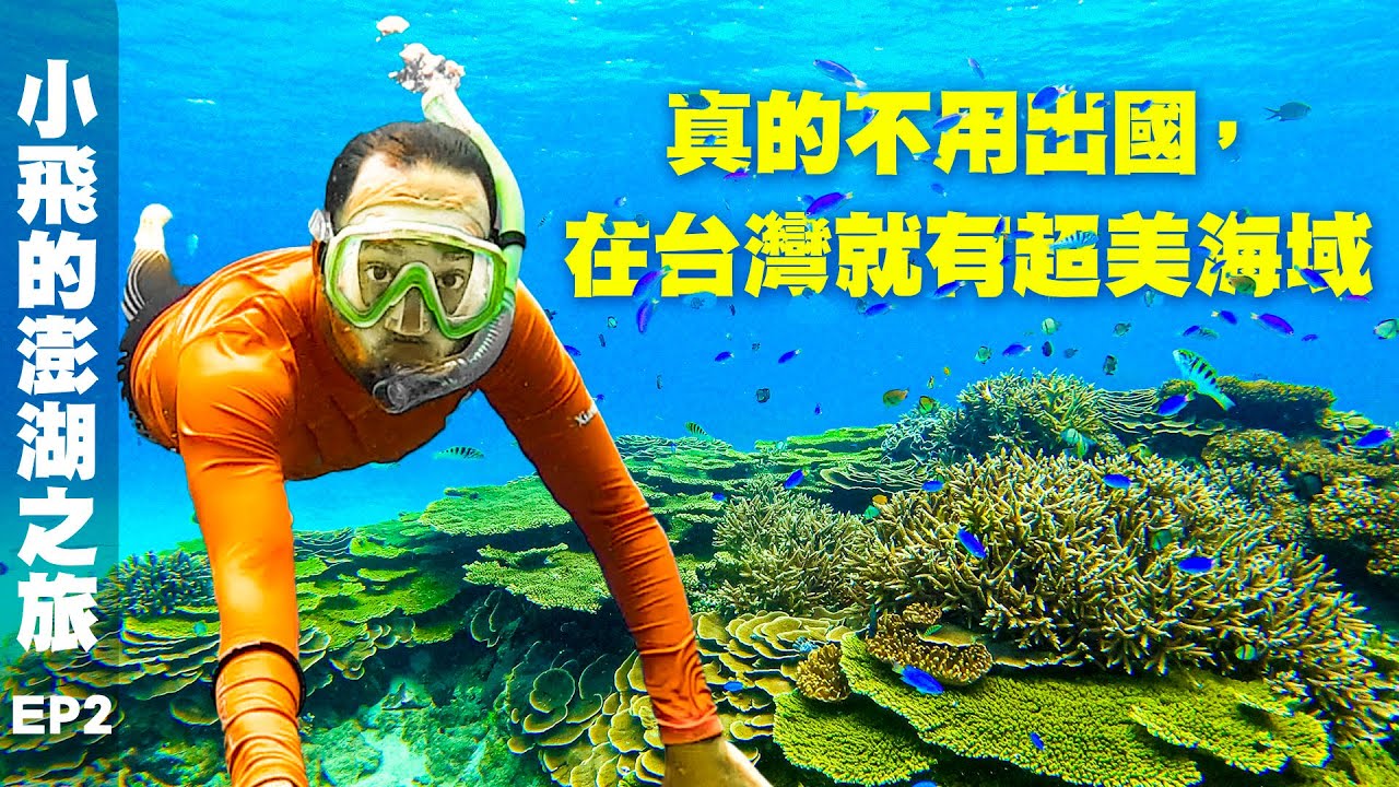 澎湖最棒的潛水地方竟然在這裡??? Is this the best Coral Reef in Penghu? - YouTube