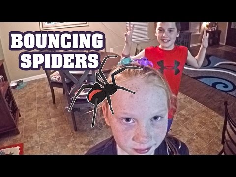 Bouncing Spiders - YouTube