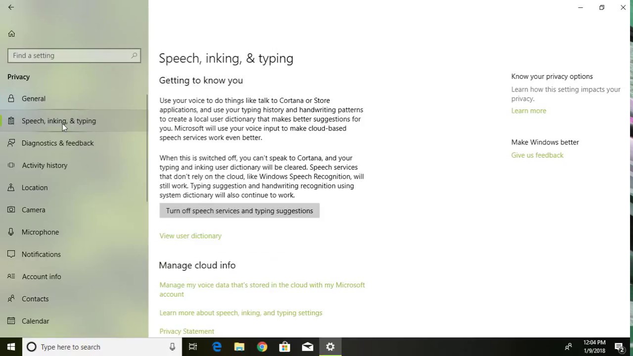 How to Turn On / Off Speech Services and Typing Suggestions in Windows ...