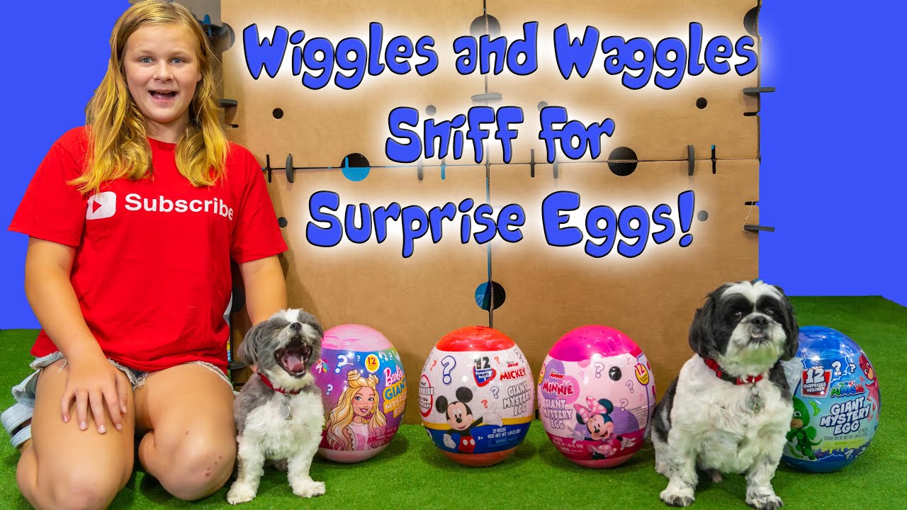 Assistant Tests Wiggles and Waggles Ability to Find Surprise Eggs - YouTube