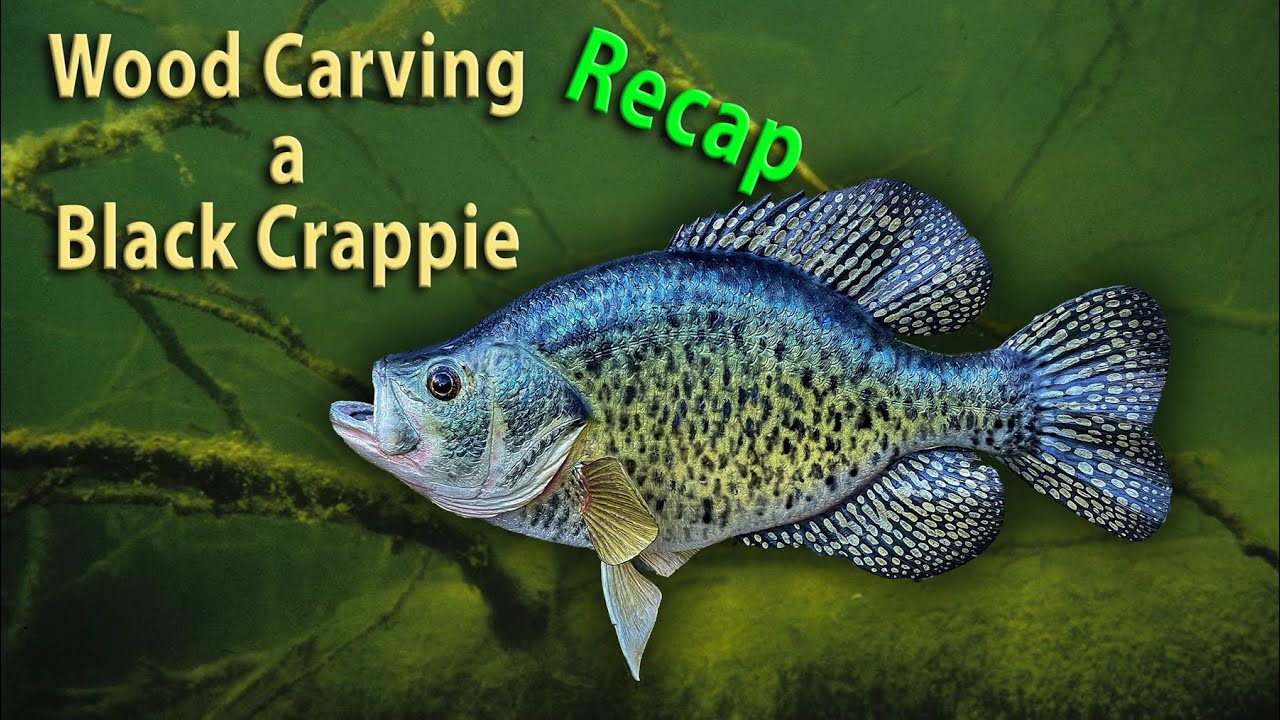 Wood Carving A Black Crappie (recap) - YouTube