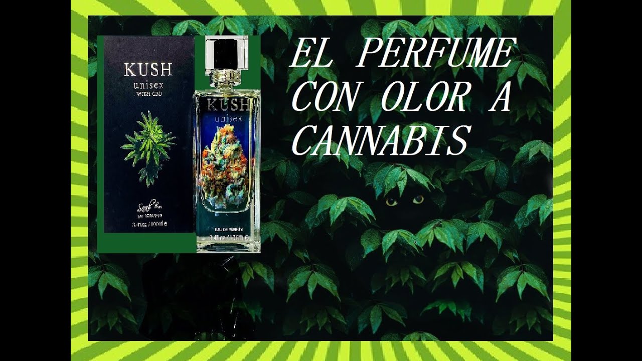 Perfume kush unisex, un perfume con olor a cannabis que pocos hablan ...