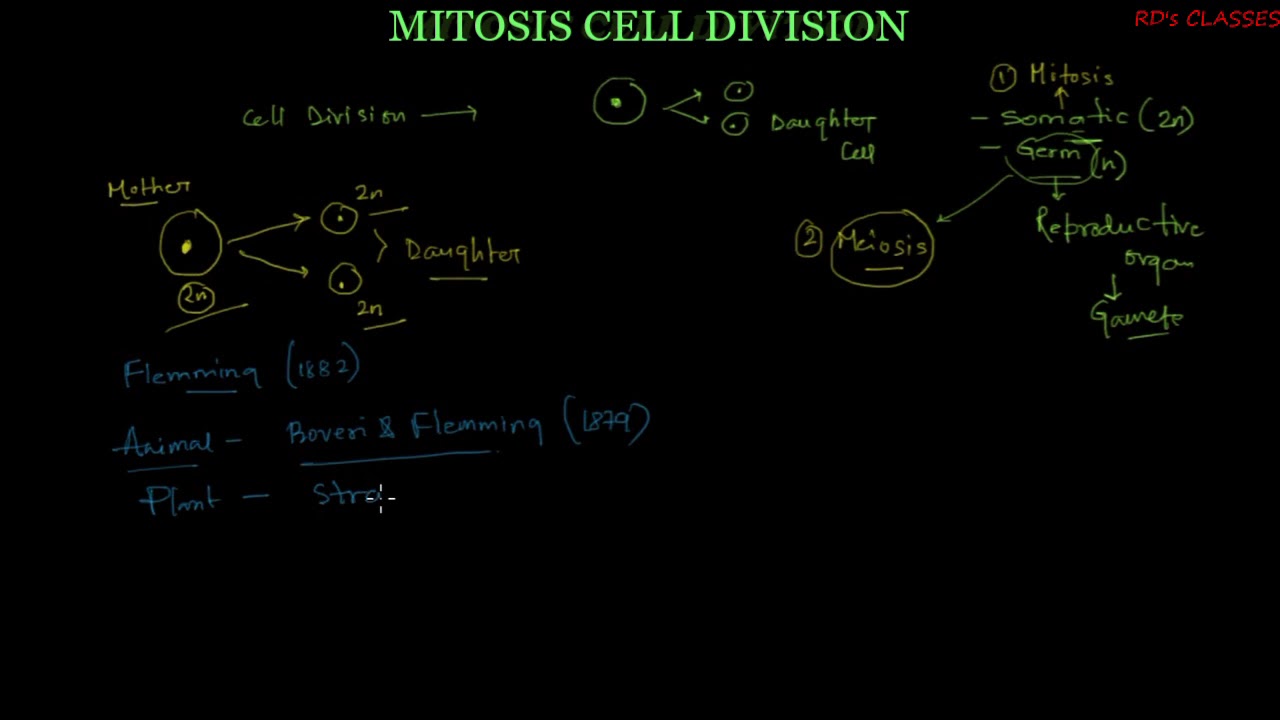 MITOSIS CELL DIVISION (PART I) FOR H.S. STUDENTS - YouTube
