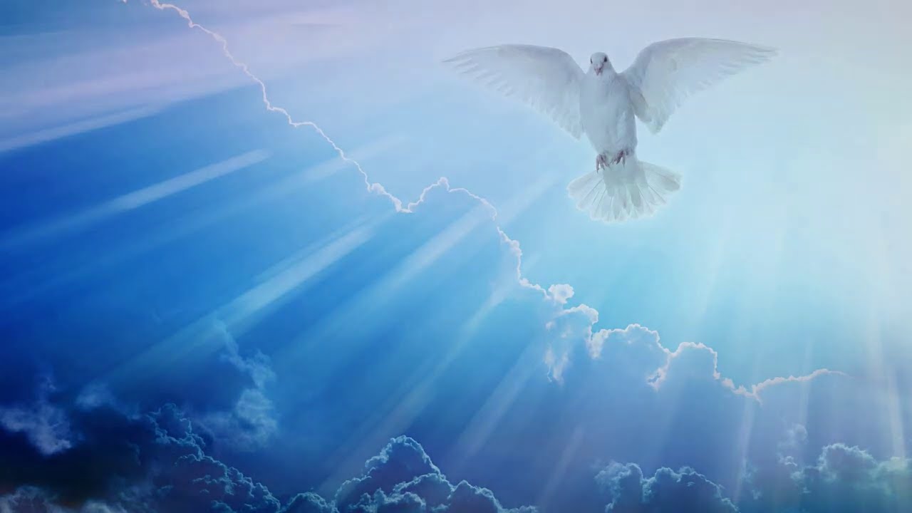 528 Hz - Angel's Music 👼 Relaxing Music for Sleeping, Sleeping ...