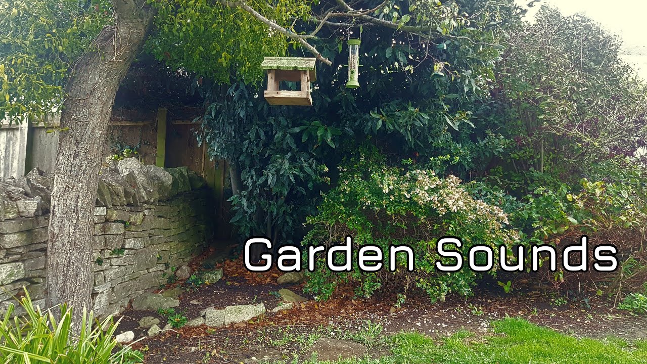 Garden Sounds - Relaxing - Stress Relief - Meditation - Bird Songs - YouTube