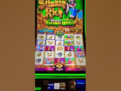 15 Free Games on Stinkin’ Rich Skunks Gone Wild Slot Machine (part 3) - YouTube