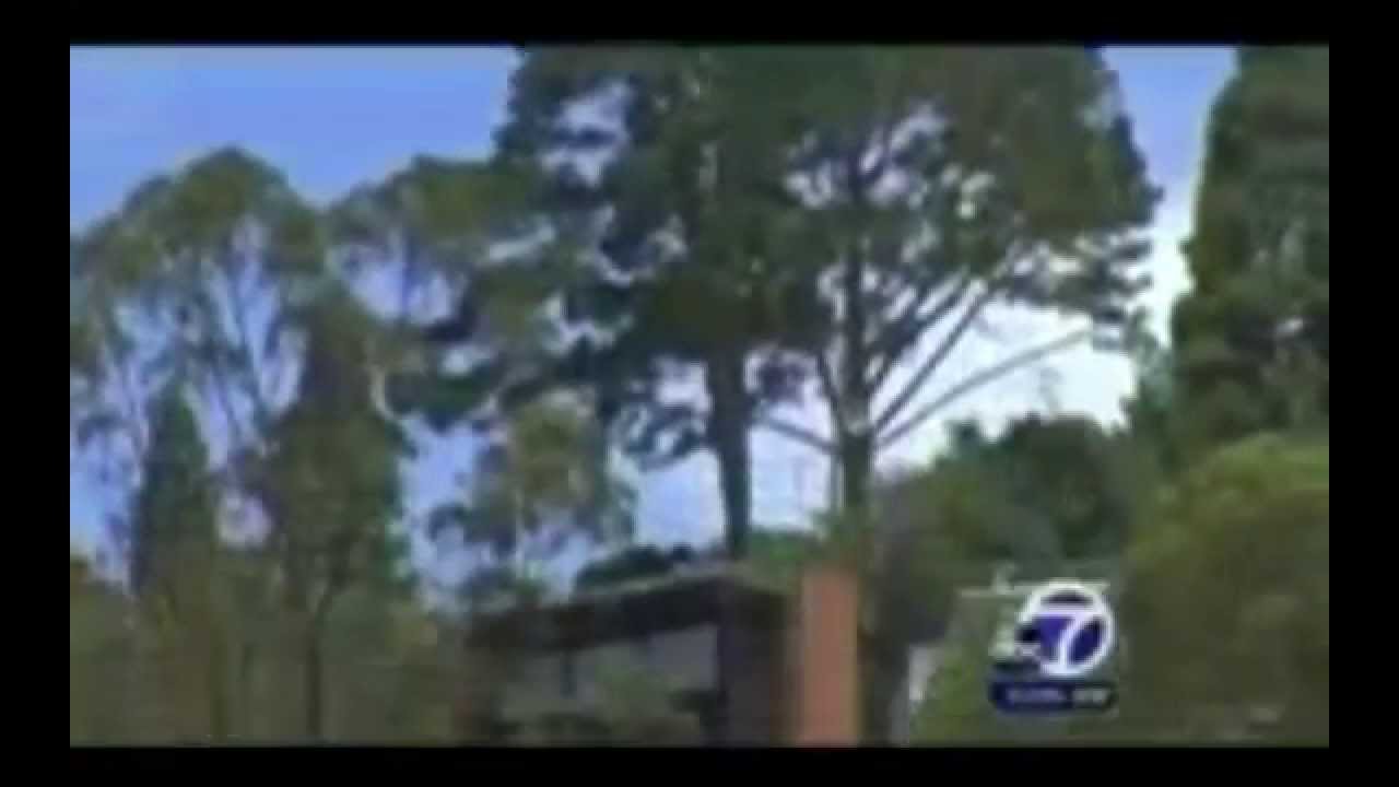 ABC News about FUEGO Carl Pennypacker's Wildfire Project - YouTube