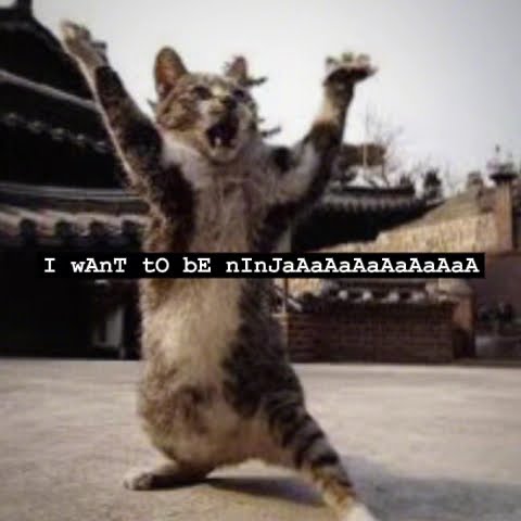 I want to be ninja - YouTube