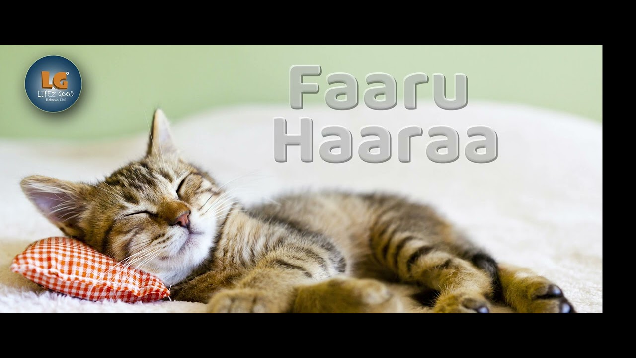 Faaru Haaraa 2023 - YouTube