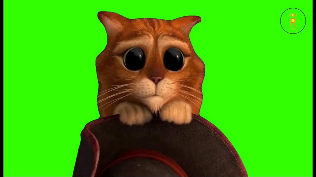Puss in Boots Green screen "cat meme" - YouTube