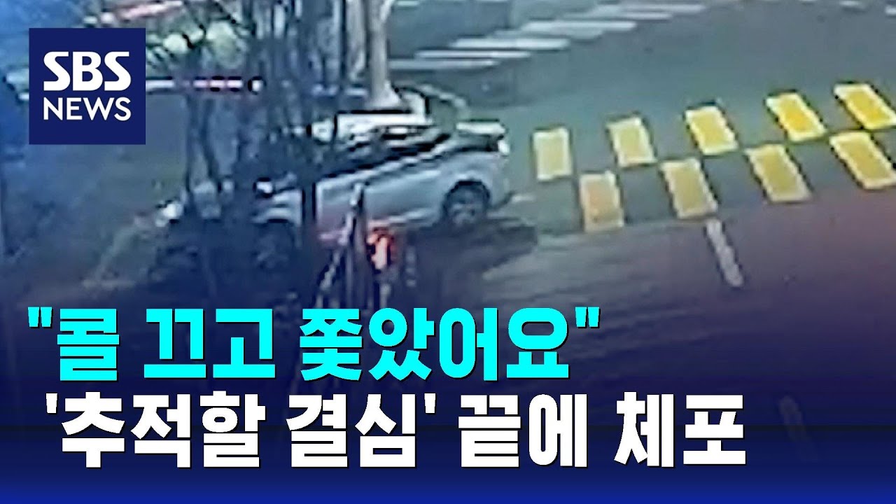 "콜 끄고 쫓았어요"…2km 추격해 음주운전 잡은 택시 / SBS - YouTube