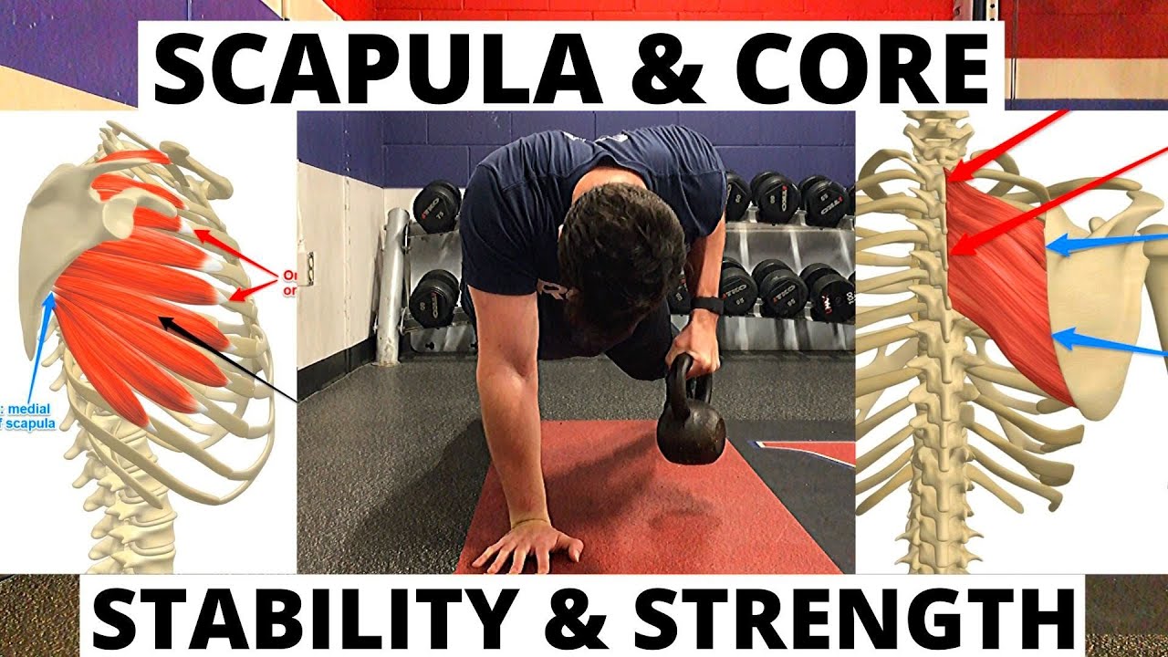 Core & Serratus Strength | Single Arm Scap Push Up + Iso Row - YouTube