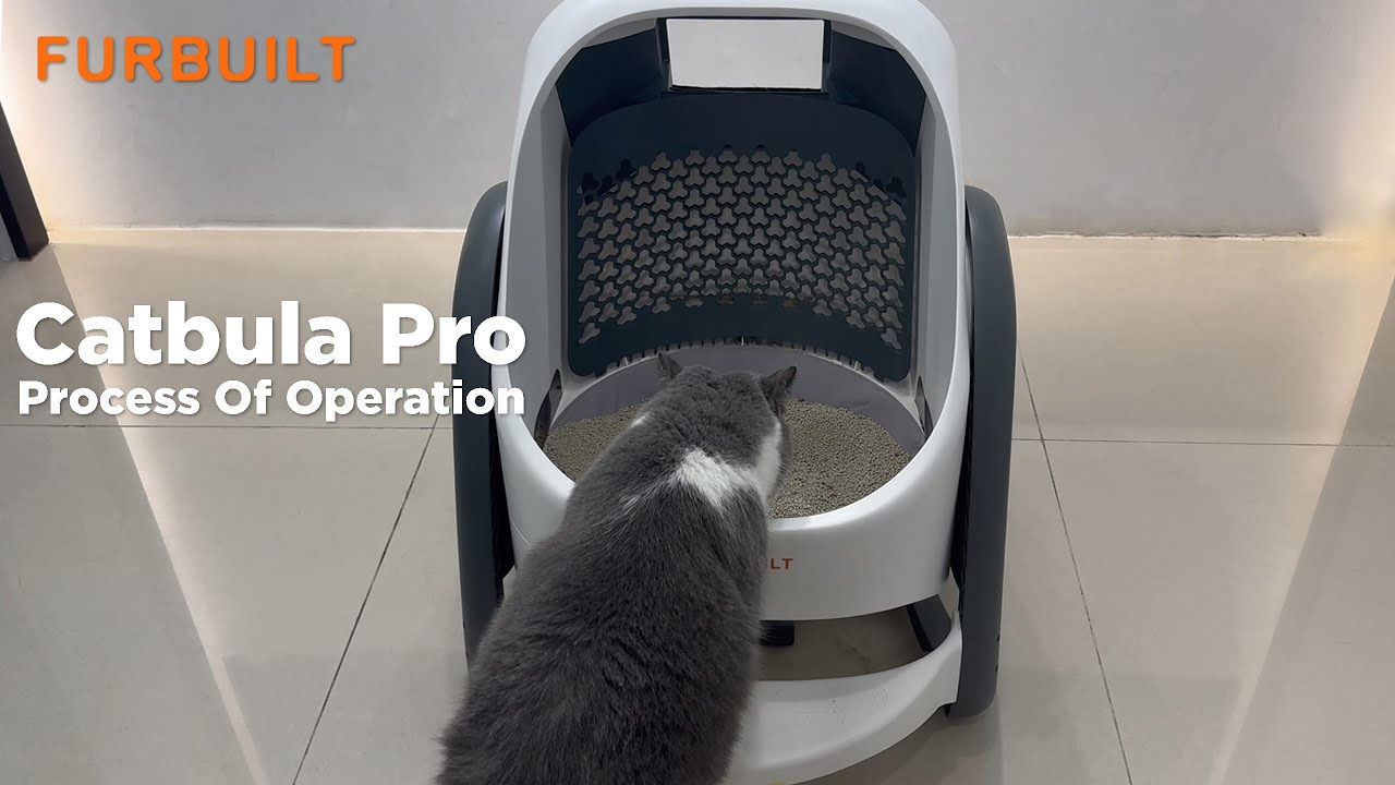 Catbula Pro Operation Demo - YouTube