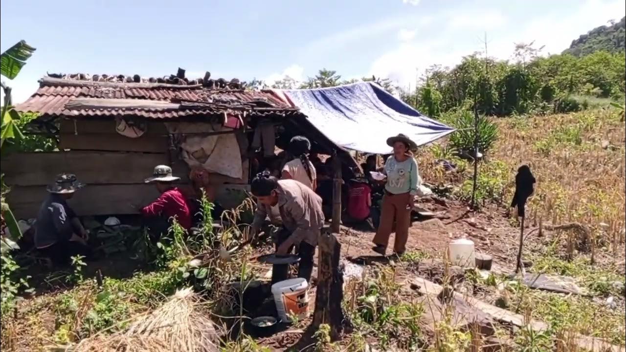 hnub no peb mu hlais npej sab kg - YouTube