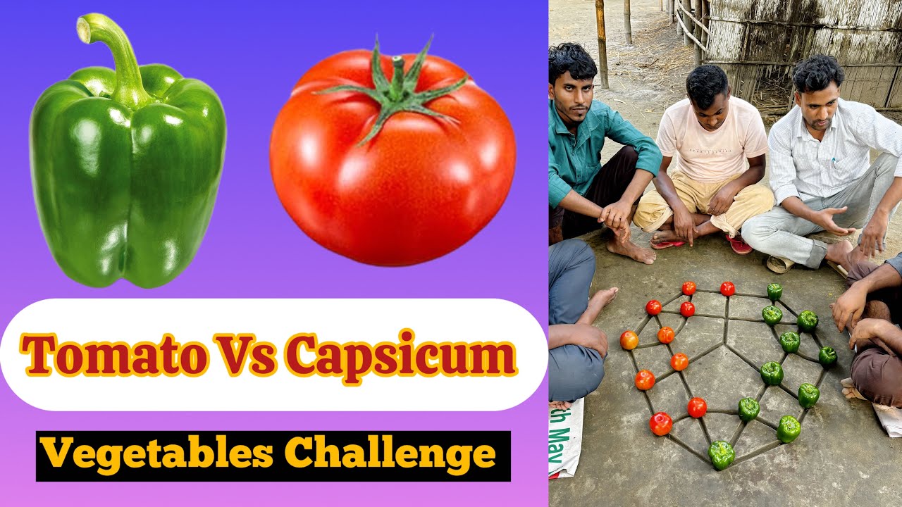 Capsicum and Tomato Chess || Viral Vegetables Game || Challenging Video ...
