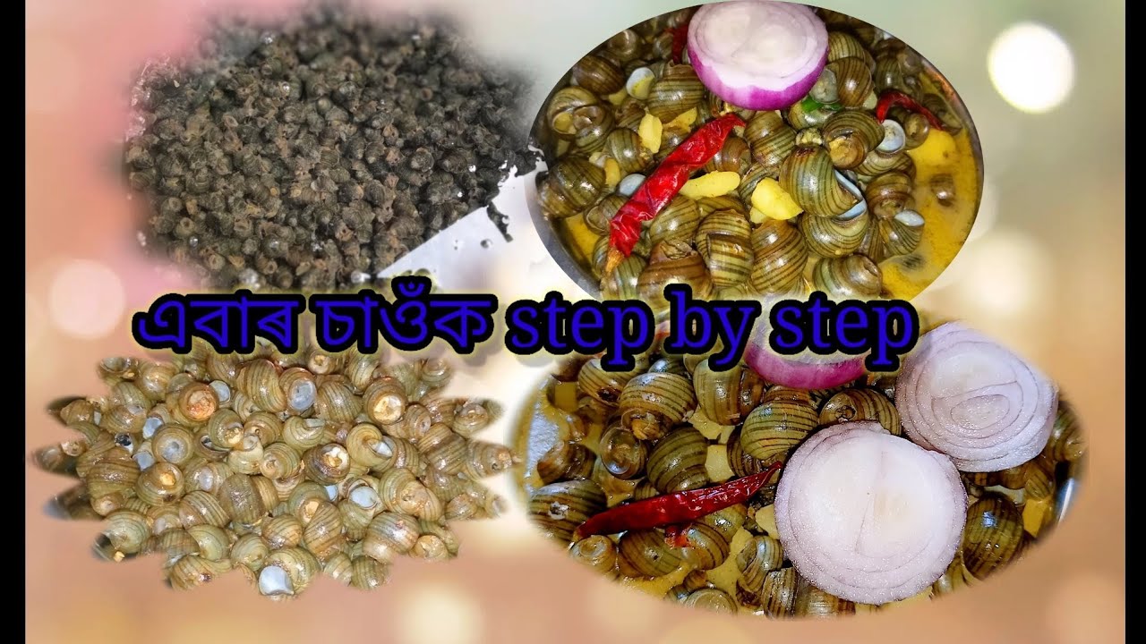 Assam Ethnic Food -Bodo Tribe Food। Snails (Shamow) Recipe।।How to ...