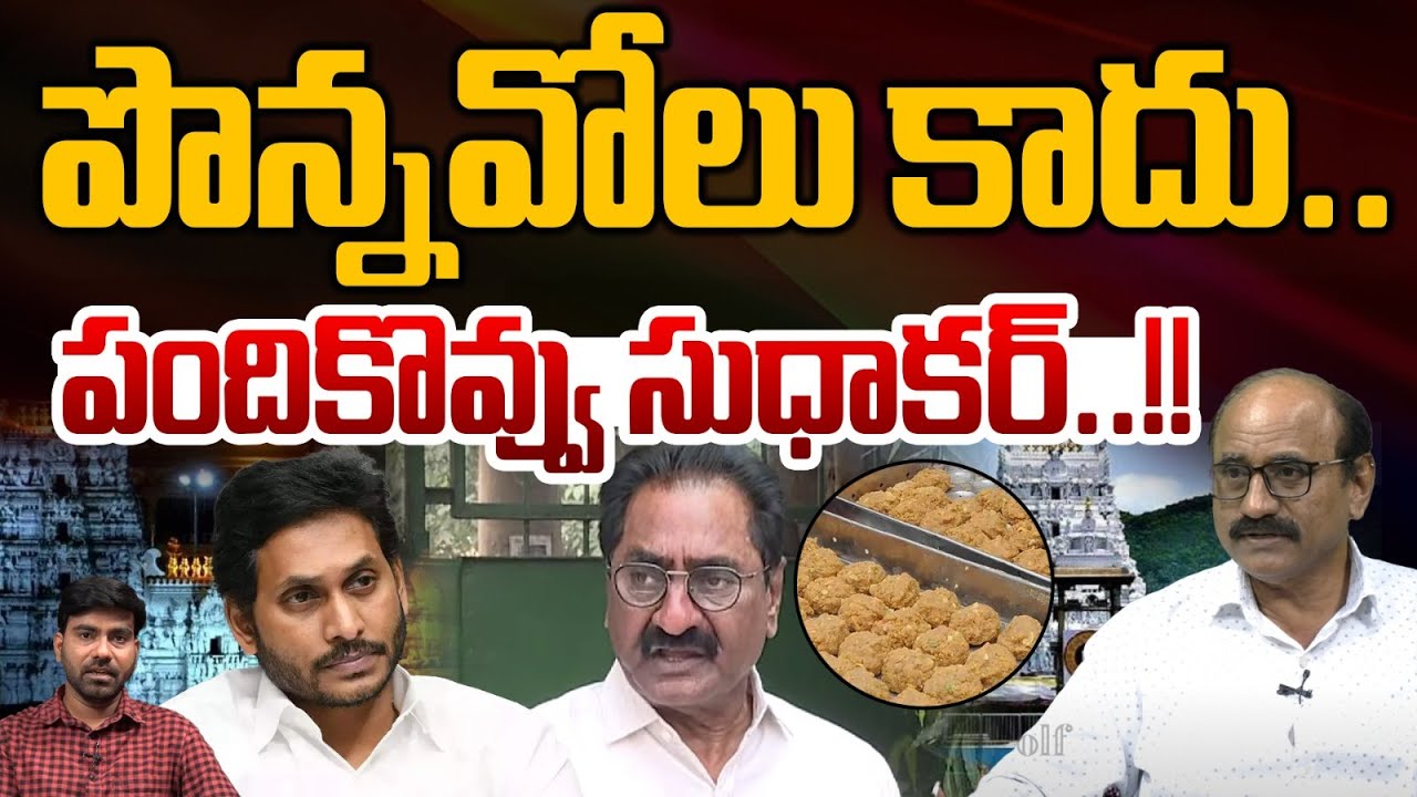 DVS About Ponnavolu Sudhakar Reddy Comments On Pig Fat In Tirumala ...