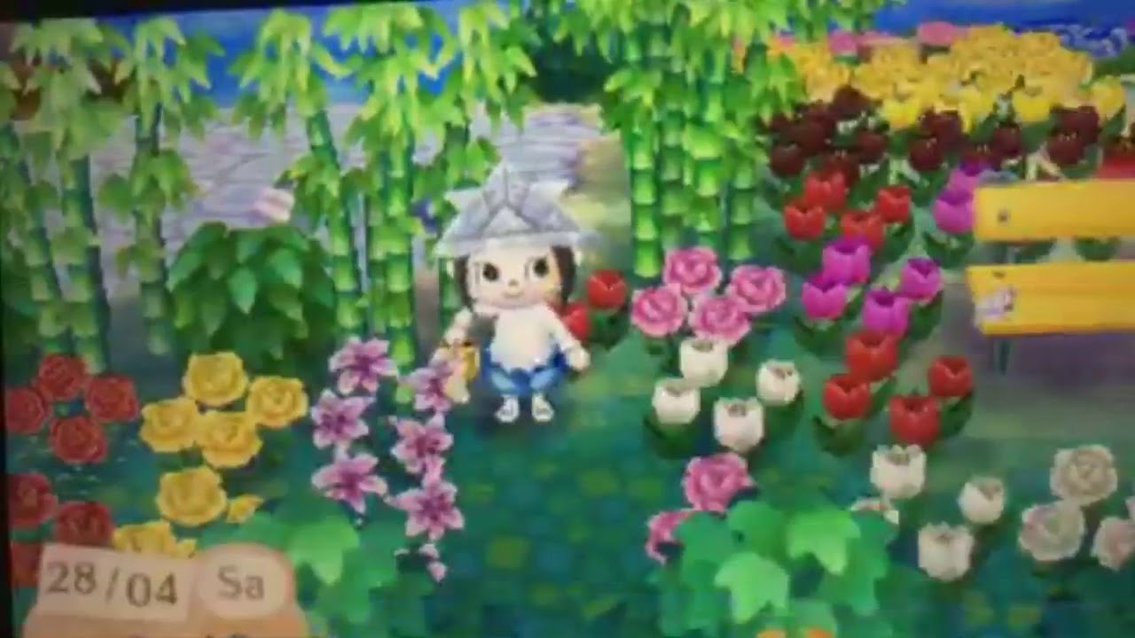 Live Acnl 😍😘😻💓💗 ️ - YouTube