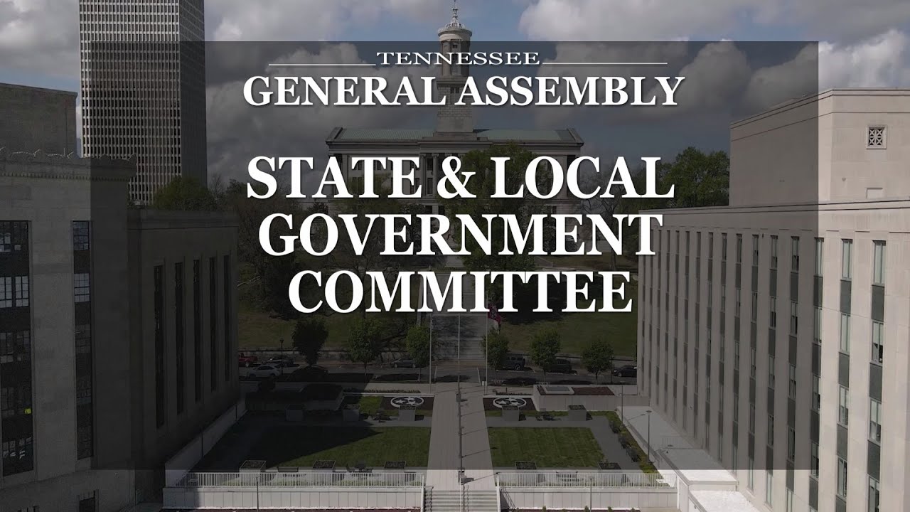 House State & Local Committee- March 19, 2025- House Hearing Room 1 ...