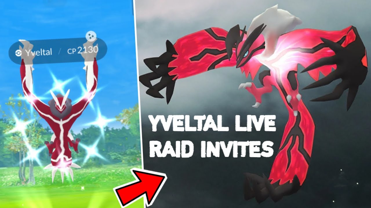 YVELTAL RAID INVITES | POKEMON GO RAID LIVE | POKEMON GO - YouTube
