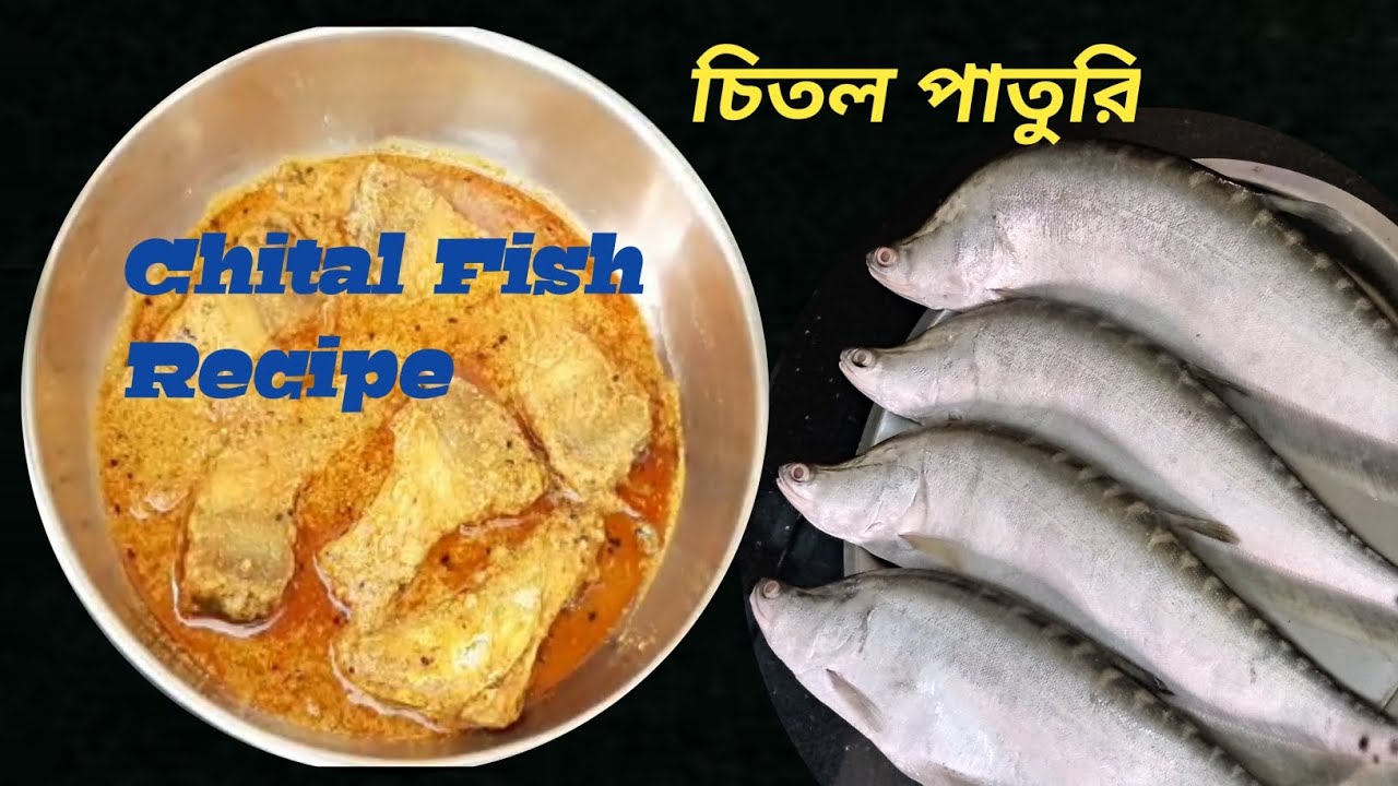 চিতল পাতুরি | Chital Fish Recipe - YouTube