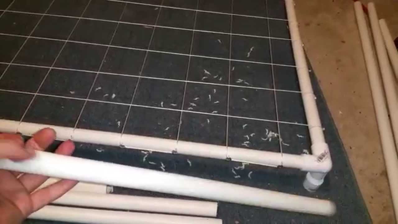 Build a $25 SCROG Frame - YouTube