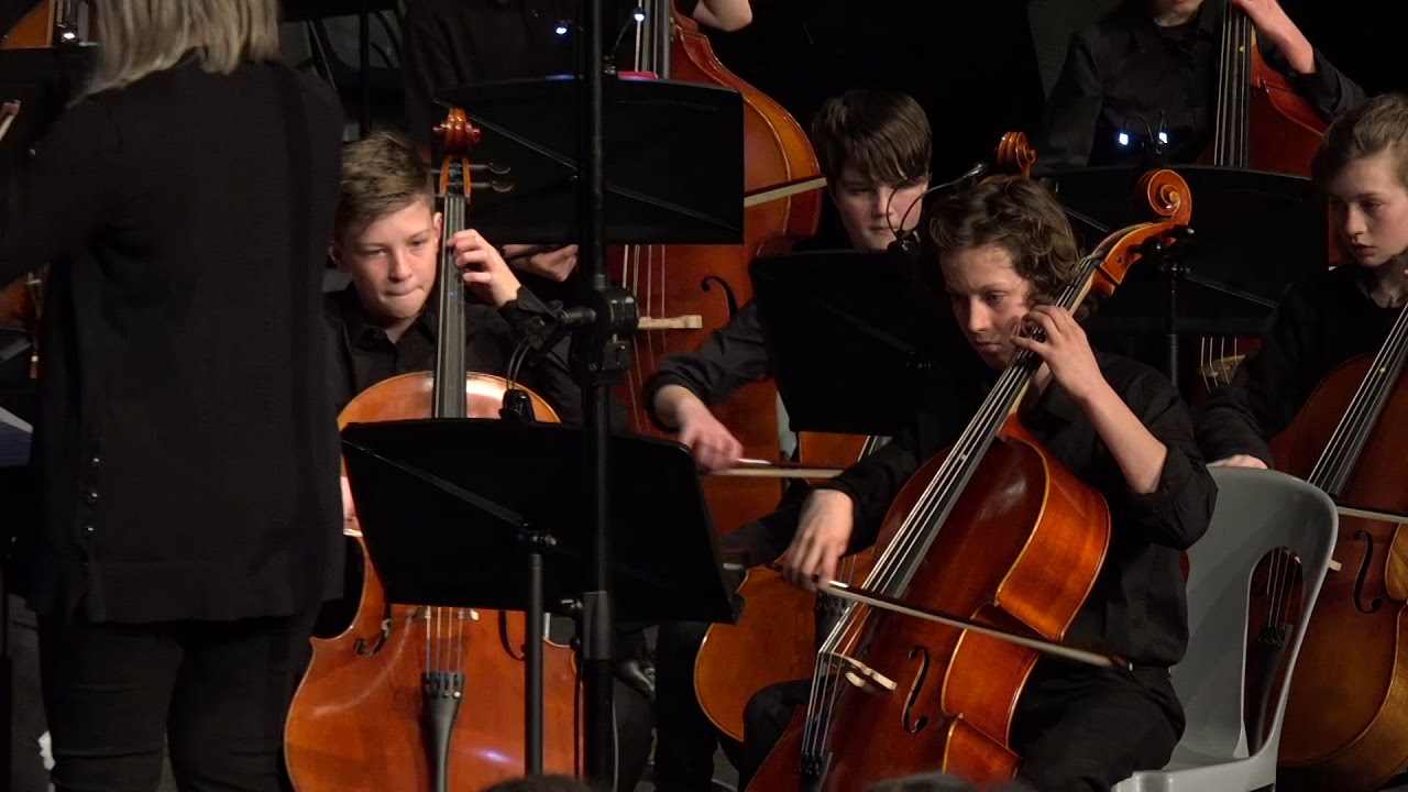 Aeolian Rock - Jeffrey Frizzi. Eltham High School Junior Strings - YouTube