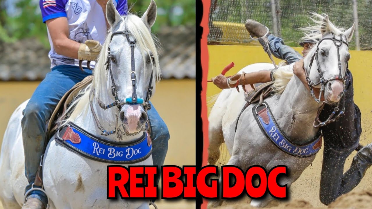 💥REI BIG DOC DANDO SHOW NA CATEGORIA PROFISSIONAL. - YouTube