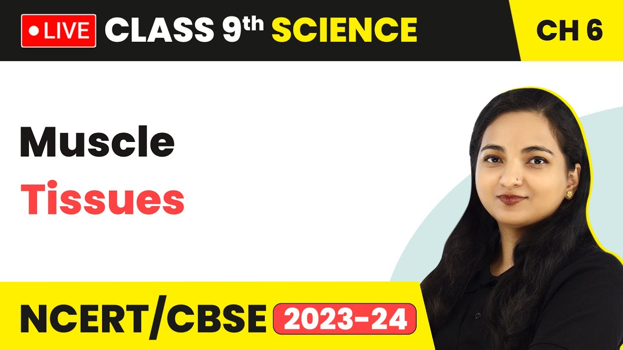 Muscle Tissues - Tissues | Class 9 Science Chapter 6 (LIVE) - YouTube