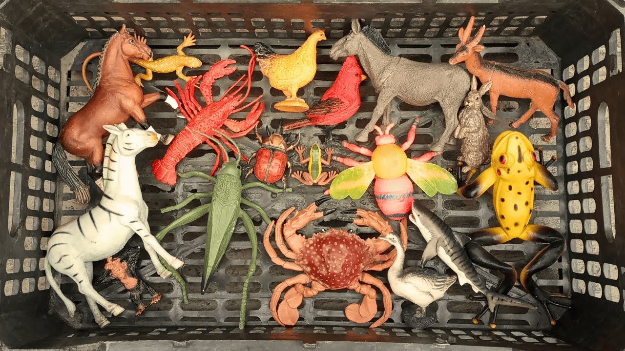 Farm, and SAVANNA Animals Rescue - Explore INSECTS For Interactive ...