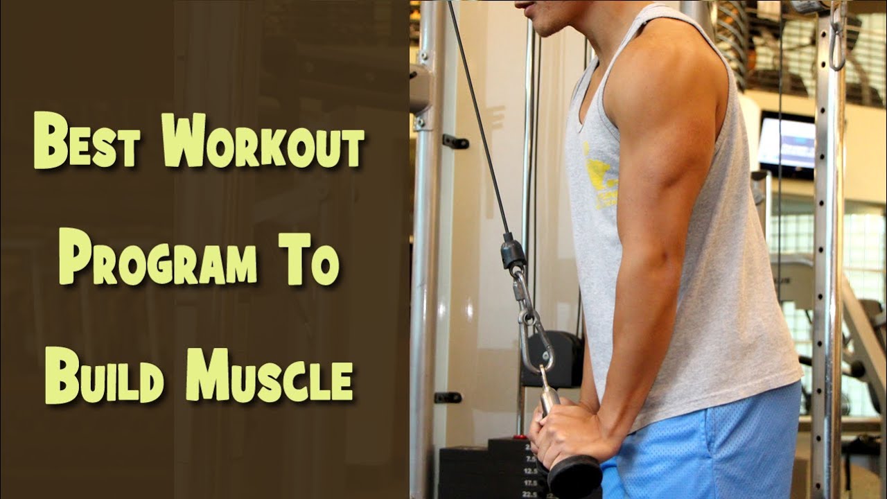 Best Workout Program To Build Muscle - Muscle Building Exercise Plan ...