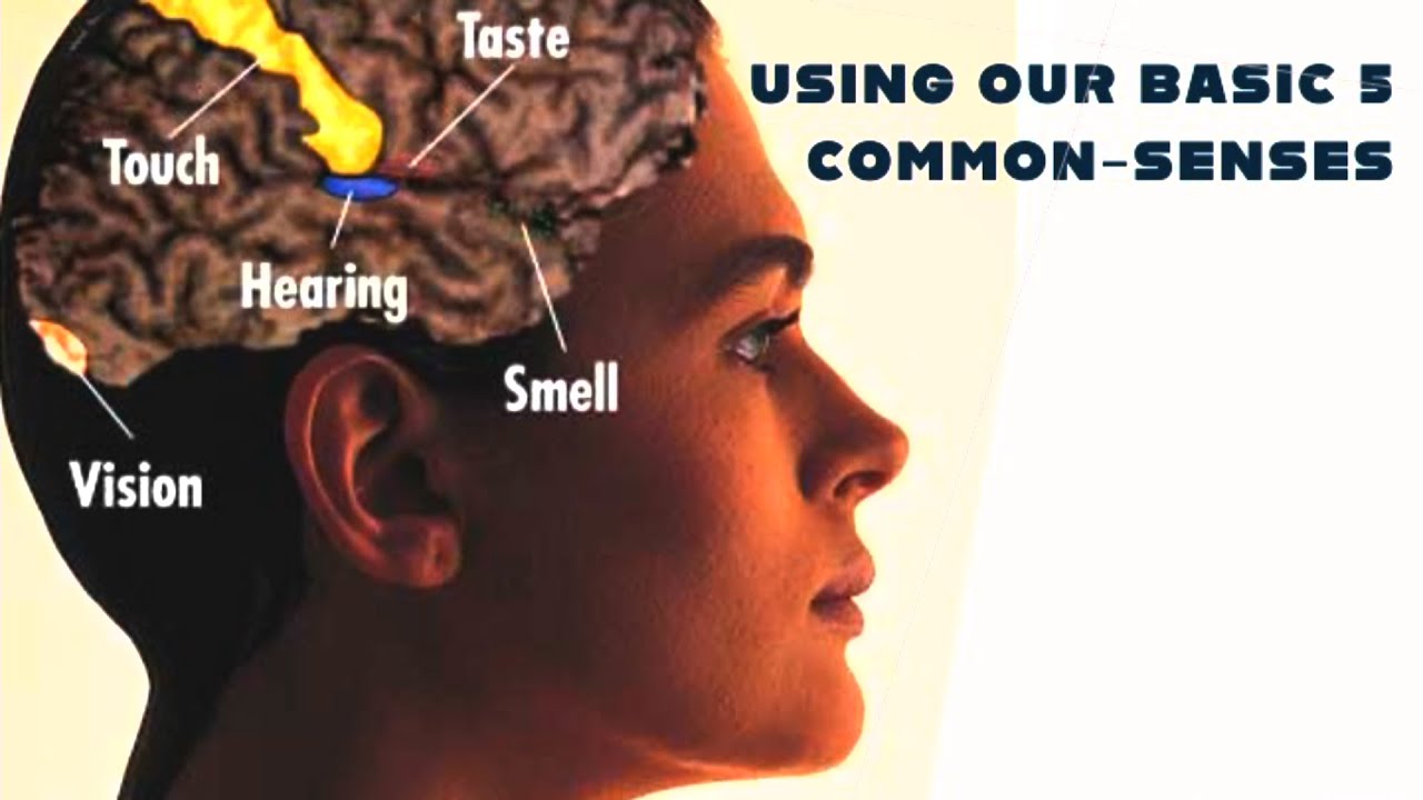 Using Our Basic 5 Common- Senses - Wednesday Bible Study - YouTube