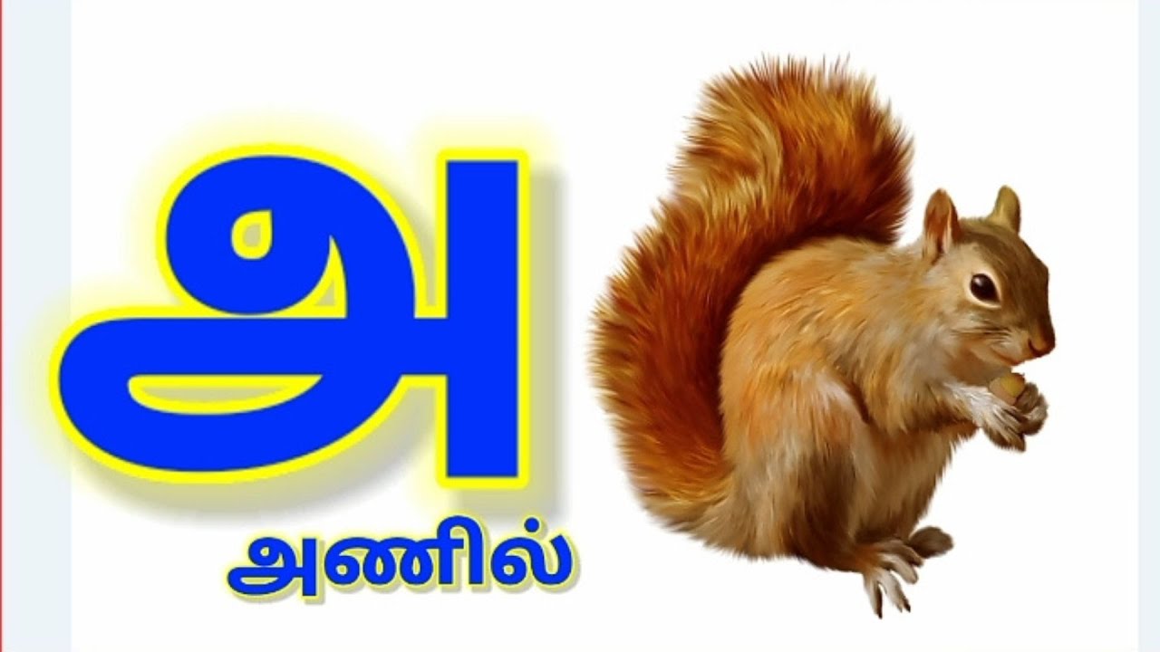 உயிர் எழுத்துக்கள் / Tamil alphabets/uyir ezhuthukkal / tamil alphabets ...