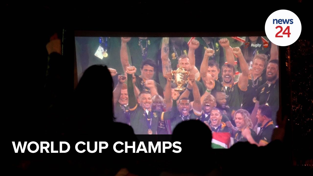 WATCH | Cape Town fans erupt in cheers as they celebrate Springboks ...