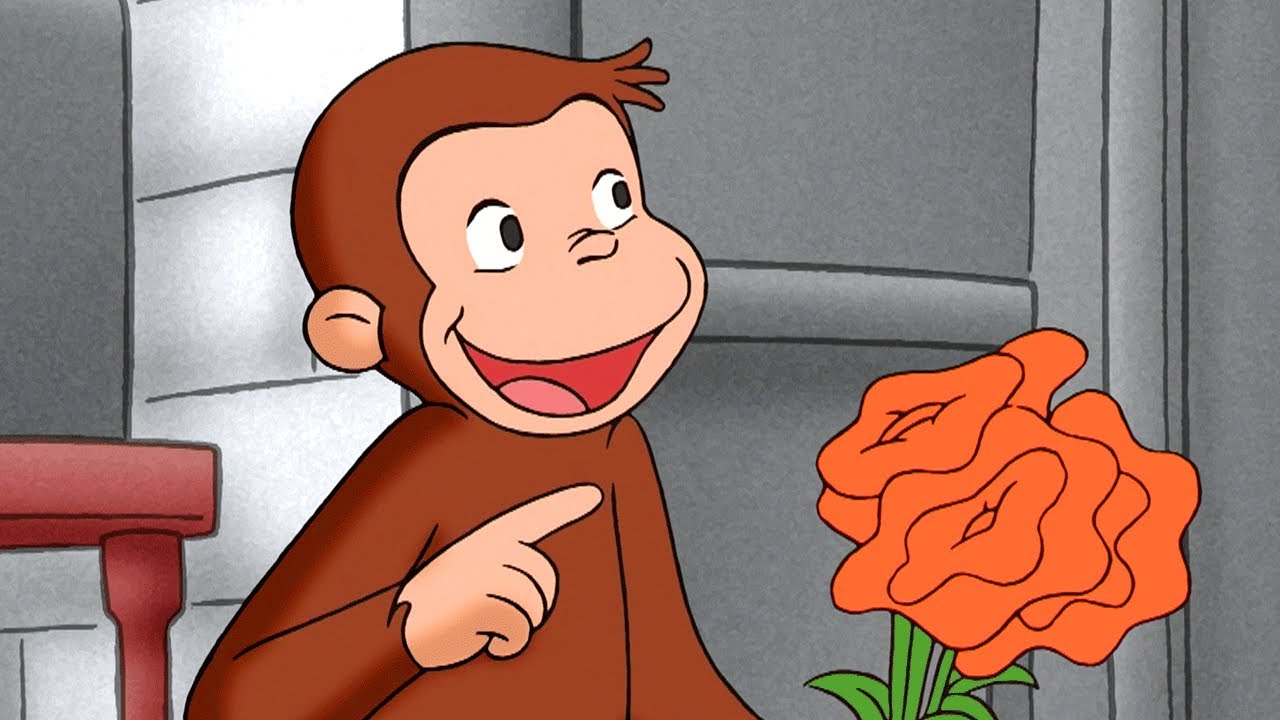 Curioso Come George 🐵 George scopre le allergie 🐵Cartoni per Bambini ...